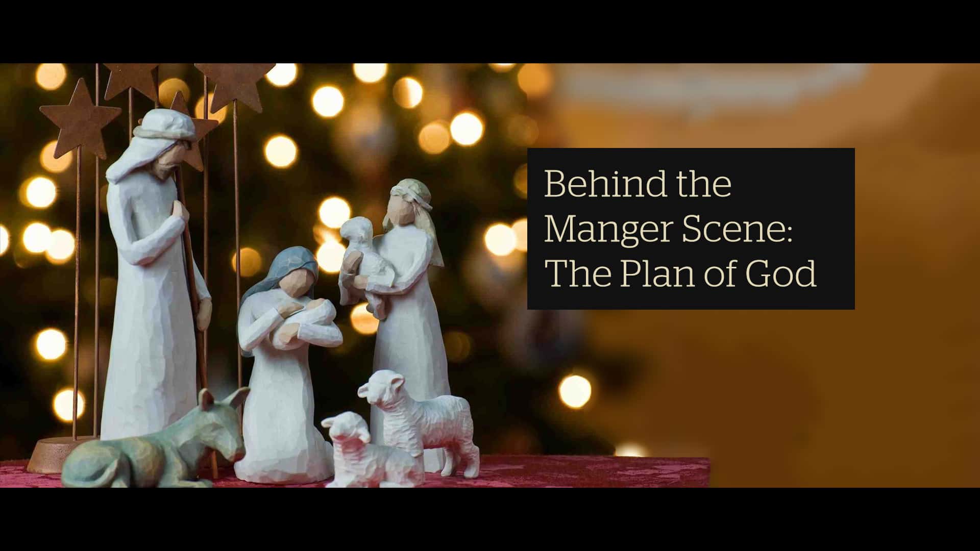 Behind the Manger Scene: The Plan of God - Grace Church of Tallahassee