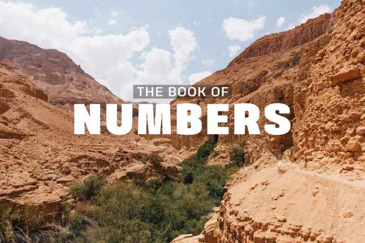 Numbers (Series) Archives - Grace Church of Tallahassee